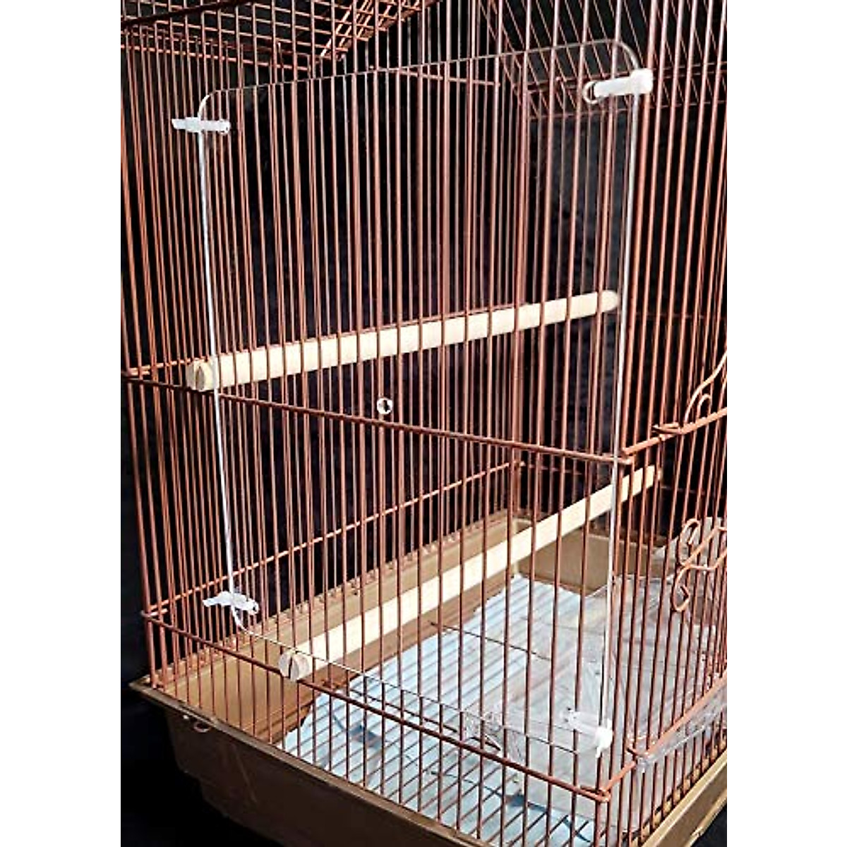 Pet Media The Seed Guard by Feathered Phonics - Large 10" x 8 ⅛"