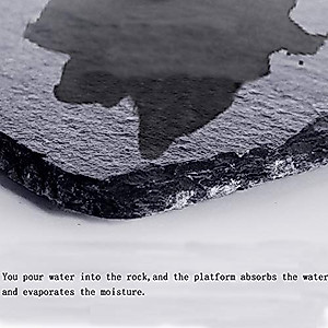 Tfwadmx Reptile Basking Platform, Tortoise Feeding Dish, Natural Rock Reptile Food Bowl Landscape Habitat Decor for Turtle Lizard Bearded Dragon Crested Gecko Snake