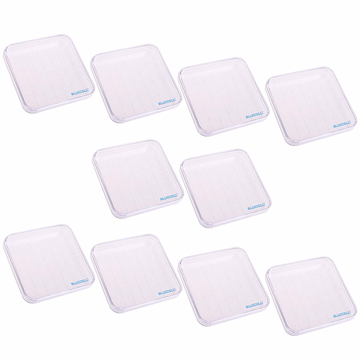 BCP 10 Pcs 36 Grid Squares Plastic Petri Dishes with Cover 100 x100mm Sterile