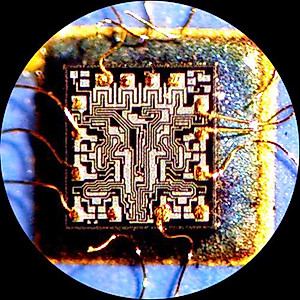 AmScope MD130 1.3MP Digital Microscope Camera for Still and Video Images, 40x Magnification, Eye Tube Mount, USB 2.0 Output, Includes Software