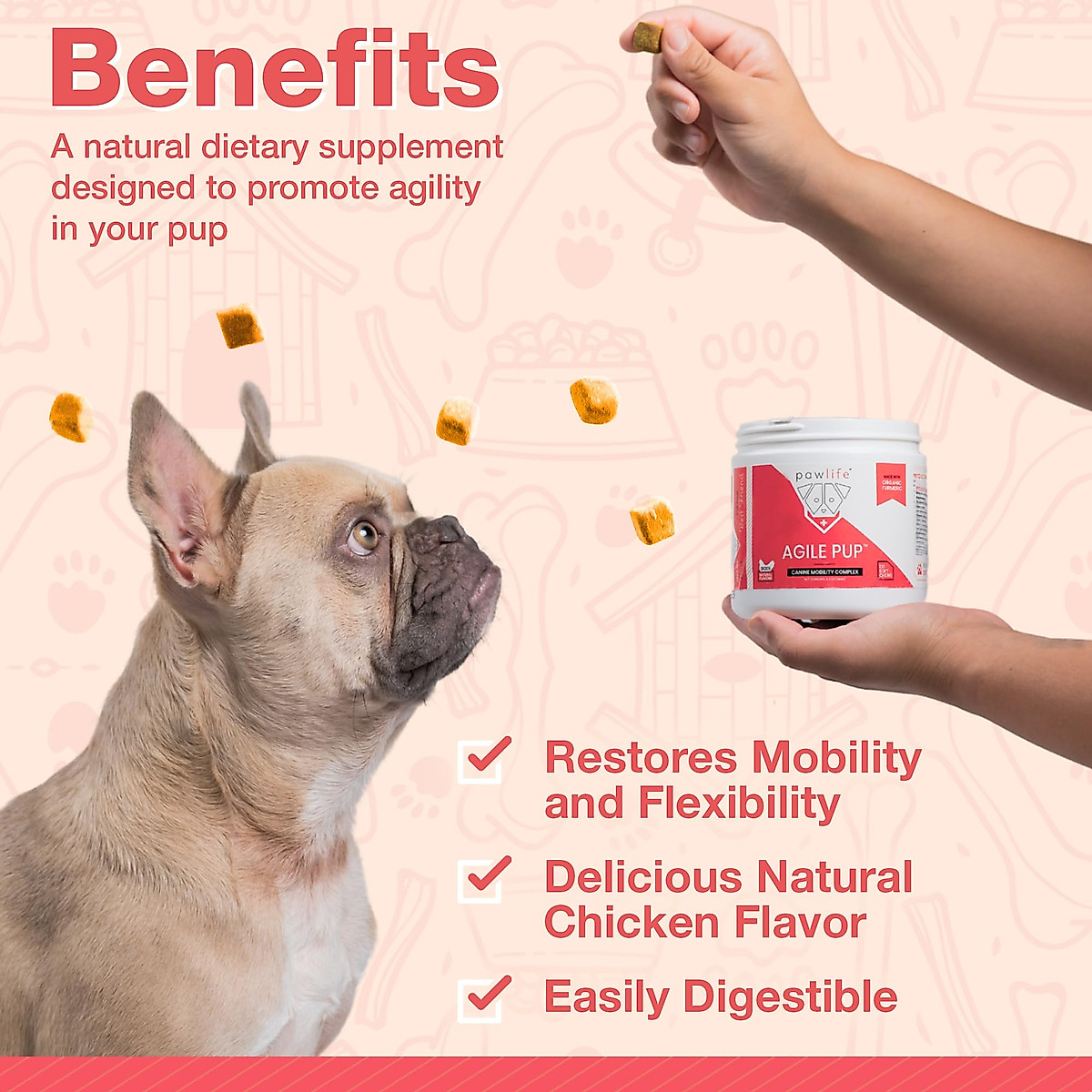 pawlife Arthritis Dog Joint Chews| Glucosamine, Chondroitin, Omega-3| MSM Support for Healthy Joints| 120ct Veterinarian Formulated Soft Chews| Up to 4-Month Supply