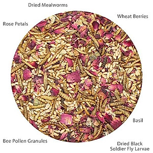 Exotic Nutrition Bee-Tastic - Healthy All-Natural Chicken Treat - Dried Insects, Flowers, Herbs Wheat Berries & Bee Pollen - Promotes Healthy Chickens & Eggs (1.5 lbs)