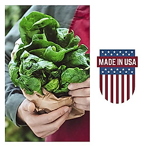 Seedra.US 4 Spinach Seeds Variety Pack - 305+ Non GMO, Heirloom Seeds for Indoor Outdoor Hydroponic Home Garden - Bloomsdale, New Zealand, Space, Virofly