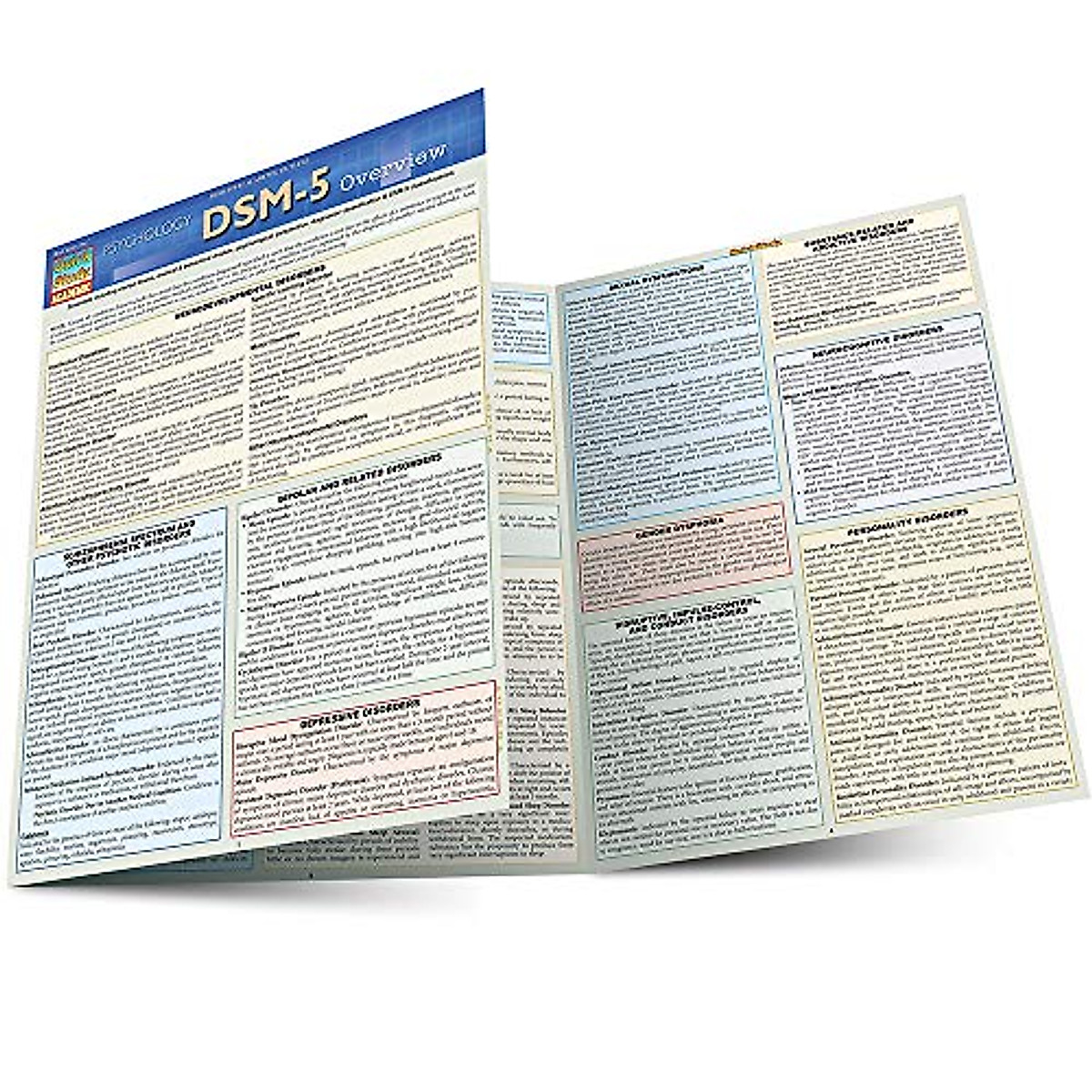 DSM-5 Overview (QuickStudy Academic)