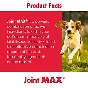 Joint Max PHS Triple Strength (TS) Chewable Tablets for Dogs - 2-Pack - 240 Tablets