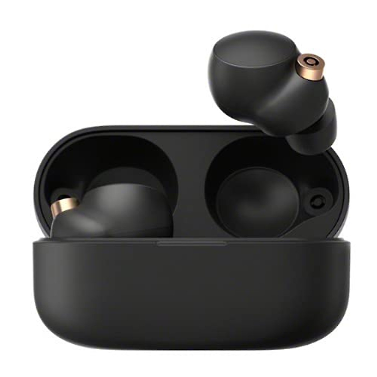 Sony WF-1000XM4 True Wireless Noise Canceling Headphones (Black) with Knox Gear silicone carrying case with carabiner for Sony WF-1000XM4 Earbuds bundle (2 items)