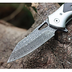 Damascus Pocket Knife, 3.54" Damascus Steel Blade Folding Knives with Wood Handle and Clip, Gift for Camping Collection