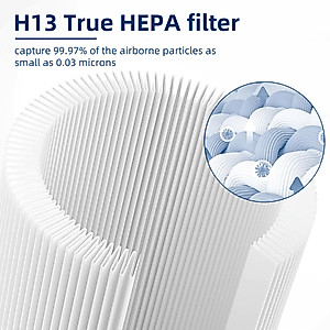 Replacement Filter O - 1712-0110-00 for Winix A230 A231 Air Purifier, 3-in-1 H13 True HEPA, 2 Pack