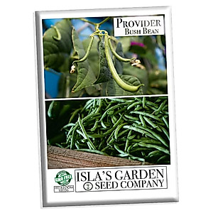 Provider Bush Green Bean Seeds for Planting, 30+ Heirloom Seeds Per Packet, (Isla's Garden Seeds), Non GMO Seeds, Botanical Name: Phaseolus vulgaris, Great Home Garden Gift