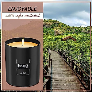 Relaxd Premium Sandalwood & Musk Scented Natural Soy Wax Candle (Prana), Large, Long Lasting Aromatherapy Essential Oil Candles