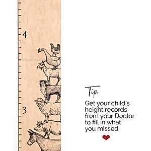Headwaters Studio Wooden Growth Chart for Wall - Wood Height Chart for Kids Child Height Wall Chart Wood Growth Chart for Kids Kid Height Wall Chart, Height Measurement-Farm Animals-Natural-63" x 6.7"
