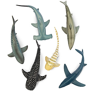 Toymany 14-Piece Realistic Sea Animal Figurines Set: 2-6" Ocean Creatures Including Whales, Sharks, Dolphin - Perfect for Cake Toppers & Gifts for Kids