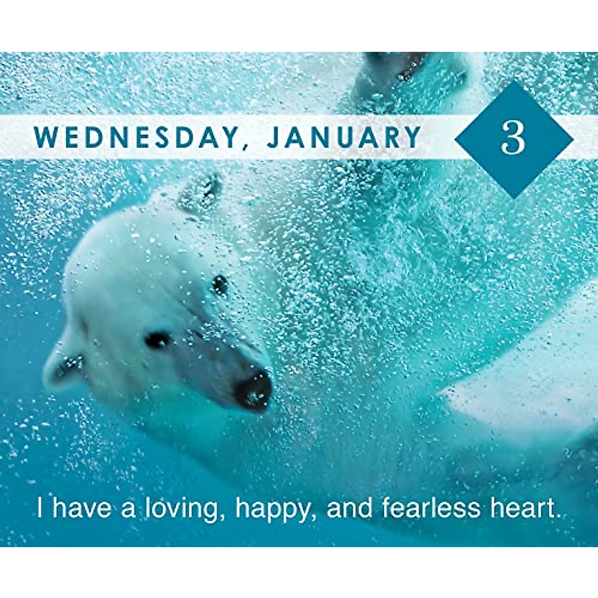 I Can Do It® 2024 Calendar: 366 Daily Affirmations