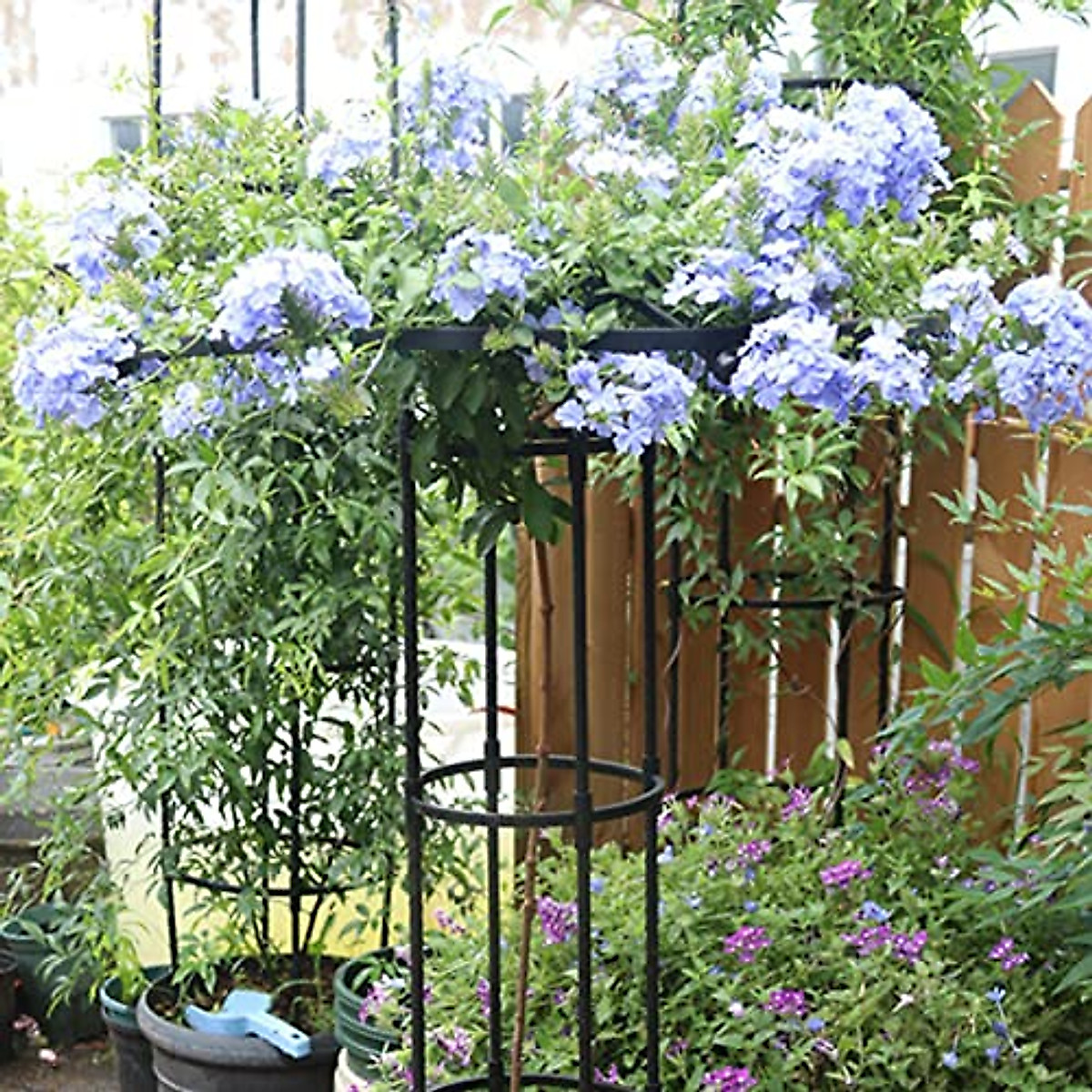 Vertical Metal Garden Trellis, Trellis for Climbing Plants, Flower Trellis, Umbrella Trellis, Garden Trellis Climbing Plants Support for Vines Tomatoes Peas Other Live Plants Support