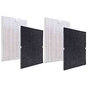 Flintar 116130 True HEPA Replacement Filter H, Compatible with Winix 5500-2 Air Purifier, Premium H13 Grade True HEPA and Washable Advanced Carbon Filter, Part # 116130, H Filter, 2-Pack