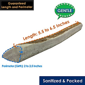 Deluxe Naturals Elk Antler Chews for Dogs | Naturally Shed USA Collected Elk Antlers | All Natural A-Grade Premium Elk Antler Dog Chews | Product of USA, 6-Pack Small Split