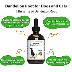 Pet Wellbeing Dandelion Root for Dogs & Cats - Liver & Heart Health, Digestive Function, Blood Sugar Support, Certified Organic - Veterinarian-Formulated Herbal Supplement 4 oz (118 ml)