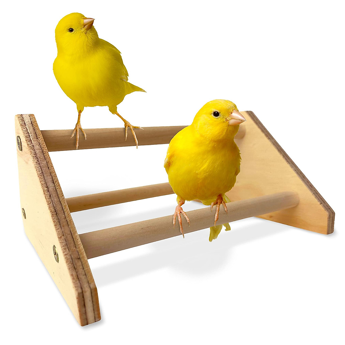 Mini Chick Roosting Perch (2 Pack) Chicken Toys for Coop and Brooder for Baby Chicks El Pollitos La Pollita Pollos Gallinas Polluelos