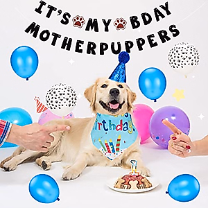 Dog Birthday Party Supplies Dog Birthday Decorations Lets Pawty Balloons Banner Dog Birthday Bandana toy Dog Birthday Boy Hat Scarfs Balloon with Cute Doggie Decorations