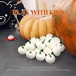 VIDELLY 16 Pieces Artificial Pumpkins for Decoration Artificial Realistic Fall Harvest Mini Pumpkins Home Garden Faux Pumpkins Artificial Vegetables Fall Harvest Décor Halloween Thanksgiving Home Deco