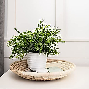 Hanging Woven Wall Basket Set - 7 Unique Handcrafted Seagrass Baskets for Boho, Farmhouse & Rustic Wall Decor, Table Settings & More - Ready to Hang with Nails & Marking Pencil Included