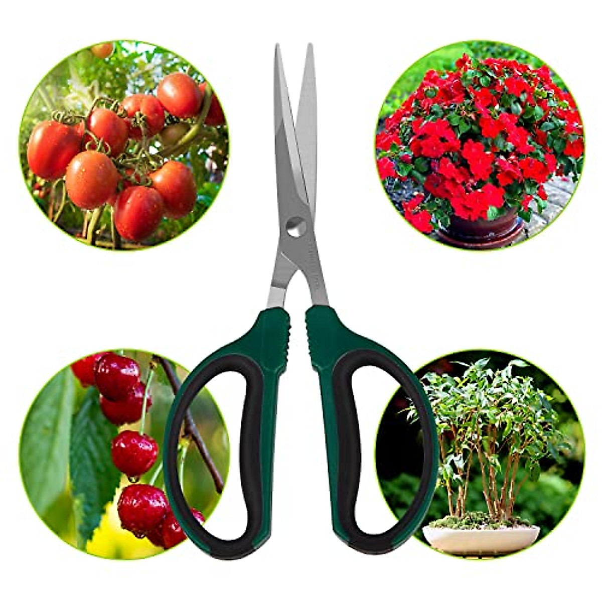 PowGrow 3-Pack Bonsai Shears Garden Pruning Scissors with 60mm Straight Stainless Steel Blades, Trimming Pruner Scissors with Precision Blades and Ergonomic Comfort Grip Handles