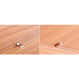 5mm Shelf Pegs Pins,60 Pieces Cabinet Furniture Spoon Shape Support Pegs for Shelves Nickel Plated