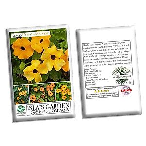 Black Eyed Susan "Vine" Flower Seeds for Planting, 25+ Heirloom Seeds Per Packet, (Isla's Garden Seeds), Non GMO Seeds, Botanical Name: Thunbergia alata, Great Home Flower Garden Gift