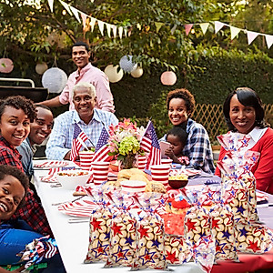 100 Pieces Patriotic Celllo Treat Bags Labor Day Goodie Bag Blue Red USA Star Candy Bag Independence Day 4th of July Cellophane Plastic Bag with 100 Silver Twist Tie for American Party Supplies Gift