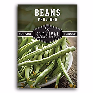 Survival Garden Seeds - Provider Bush Bean Seed for Planting - Packet with Instructions to Plant and Grow Stringless Green Beans in Your Home Vegetable Garden - Non-GMO Heirloom Variety
