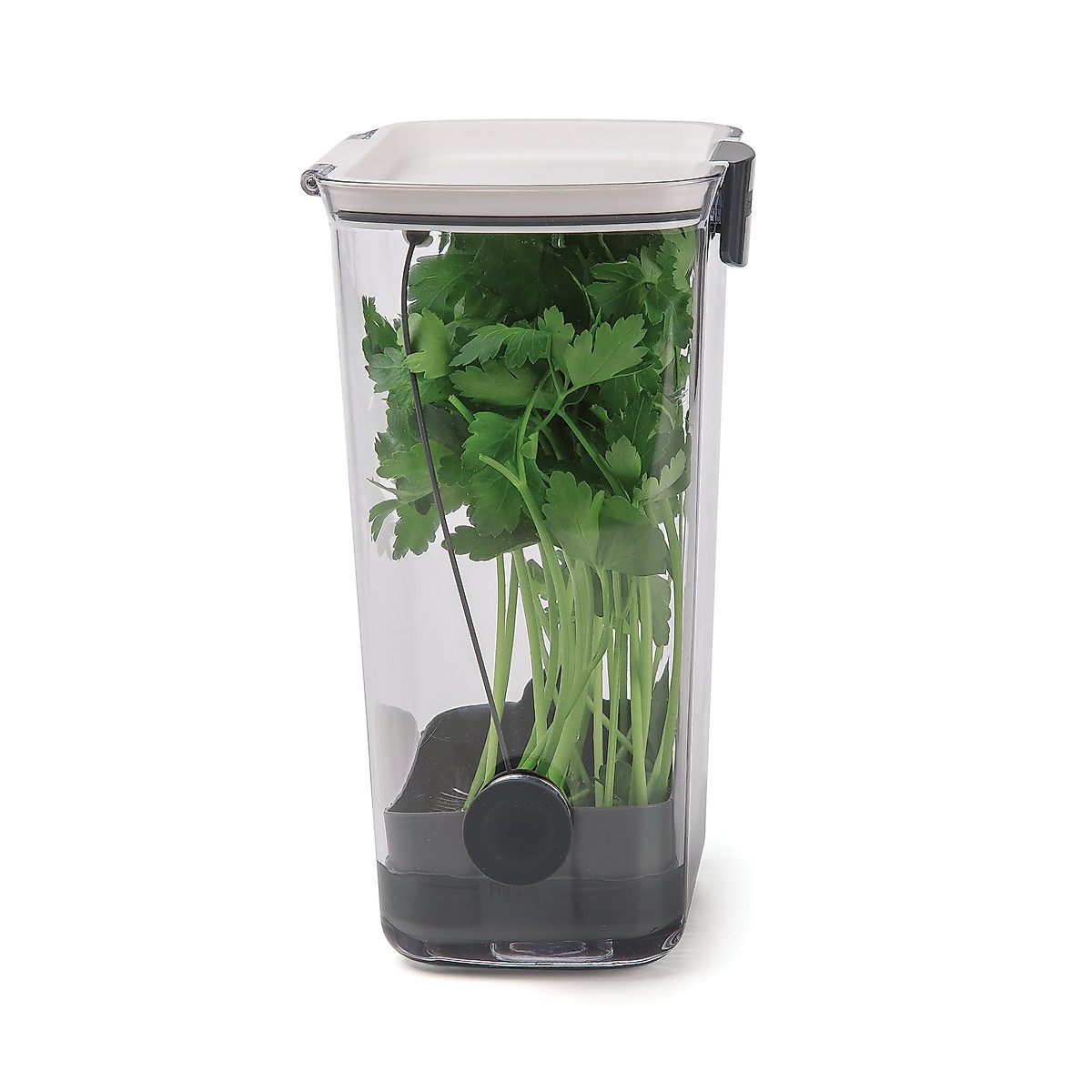 Progressive International PKS-930 BPA-Free Plastic ProKeeper Herb Keeper with Removable Silicone Drain Plug, 1 Piece, White