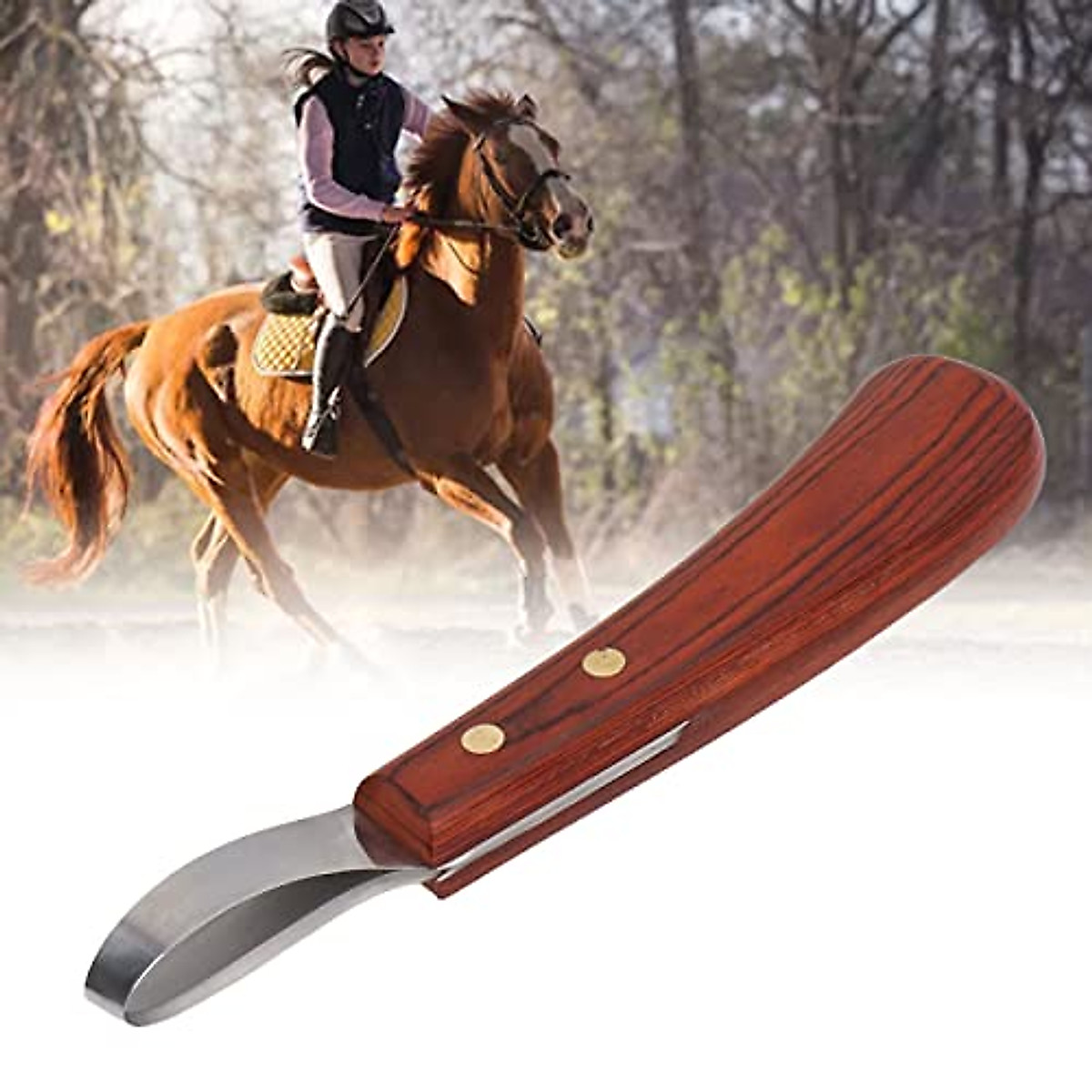 KUIDAMOS Hoof Trimmer, Loop Hoof Knife Precision Farrier Tool Stainless Steel Blade Oval Hoof Shears with Wood Handle Farrier Loop Knife for Horses Donkeys Cows