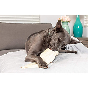 Barking Buddha Original Large Cow Ears for Dogs - Safe All Natural Premium Grade Rawhide Alternative Chews - Individually Wrapped Treats | Natural Beef 20 Pack