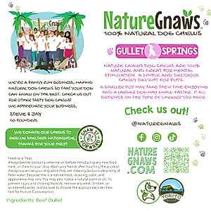 Nature Gnaws Beef Gullet Springs for Dogs 7-8" (6 Count) - Natural Beef Jerky Stick Dog Chew Treats - Rawhide Free