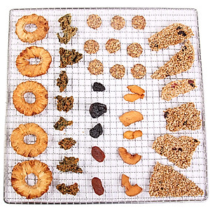 9 Stainless Steel Trays Compatible With Excalibur Dehydrator Replacement UPGRADE Food Shelf Mesh Screen by Bright Kitchen (9 Trays)