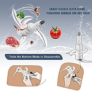 Electric Food Chopper, 5-Cup Food Processor by Homeleader, 1.2L Glass Bowl Grinder for Meat, Vegetables, Fruits and Nuts, Stainless Steel Motor Unit and 4 Sharp Blades, 300W