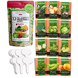 HOME GROWN 12 Fall Vegetable Seeds - USA Heirloom Non GMO Fall & Winter Vegetable Seeds for Planting Home Garden: Beets, Broccoli, Cabbage, Kale, Onion, Peas, Pumpkin, Turnip, Lettuce & More