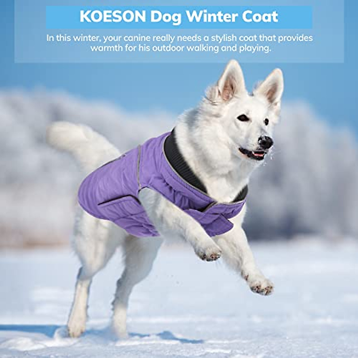 KOESON Windproof Dog Cold Weather Coat, Reflective Pet Winter Thick Warm Outdoor Jacket with Harness Hole, Comfy Cotton Apparel Padded Vest for Small Medium Large Dogs Purple 2XL