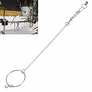 Bird Anklet Chain Parrot Foot Ring Stainless Steel Bird Leash Parrot Opening Activity Ring Bird Stand Anklet Pet Bird Supplies for Nyasa Lovebird Cockatiel Cockatoo Sun Conure Monk Parakeet(5.5mm)