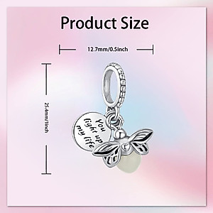Alstade Night Glow Firefly Dangle Charm 925 Sterling Silver Charms fits Bracelets and Necklace Pendant Bead Charms Jewelry Present for Women Family Friends