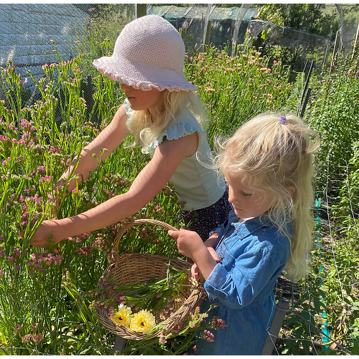 Rubys Collection™ Wooden Flower Press Kit - Flower Preservation Kit for Adults & Kids. Press Flower Art & Wedding Flower Preserve with Flower Drying Book