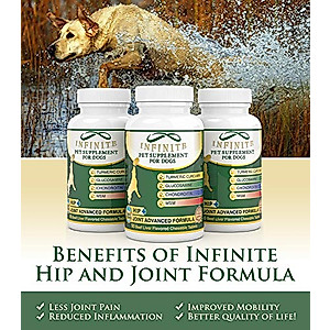 IPL Advanced Hip & Joint Formula - 90 Mobility & Pain Relief Dog Chews - Glucosamine, Chondroitin, MSM, & Turmeric for Superior Joint Health