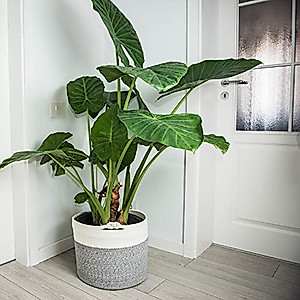 Large Cotton Rope Basket | Blanket Basket for Living Room | Woven Basket Use for Throw Pillow, Clothing, Toys Storage | Stylish Nursery Organizer | Baby Laundry Basket | Home Decor Addition