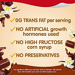 Snack Pack Chocolate and Vanilla Pudding Cups Family Pack, 12 Count (Pack of 1)