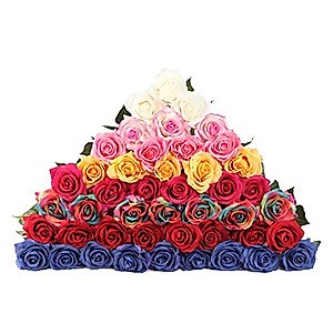 LG LOUIS GARDEN Red Rose Artificial Flowers, Beauty and The Beast Rose Kit, Single Red Rose for Mother's Day Home Decor Centerpieces Party Wedding Anniversary Decorations