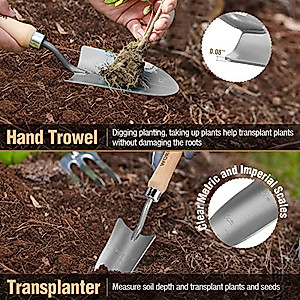 WORKPRO Garden Tool Set, 5 Piece Heavy Duty Steel Gardening Tools Kit with Wooden Handle, Includes Hand Trowel, Transplanter, Weeder, Hand Fork and Hand Rake, Gardening Gifts for Women Men