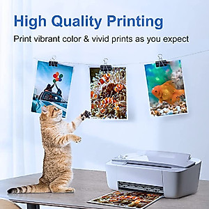 812XL Ink Cartridges Black Remanufactured Ink Cartridge Replacement for EPSON 812XL Ink Cartridges Combo Pack Black for Workforce Pro WF-7840 WF-7820 WF-7310 EC-C7000 Printer (Black,2 Pack) 812 Ink