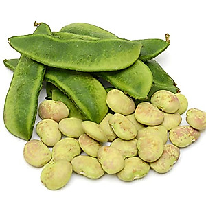 David's Garden Seeds Bean Lima Bush Fordhook FBA-00063 (Green) 25 Non-GMO, Heirloom Seeds