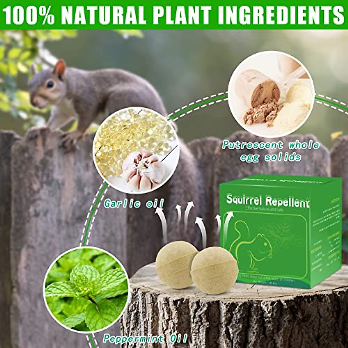 12 Pack Natural Squirrel Repellent for Outdoor Car Yard Garden Plants Indoor Bird Feeder, Peppermint Planted Ingredients Rodent Squirrel Deterrent, Keep Squirrel Mouse Away