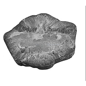 Karen Low Reptile Chameleon Iguana Lizard Reptile Tortoise Water Dish Food Bowl Amphibians Feeding Dish